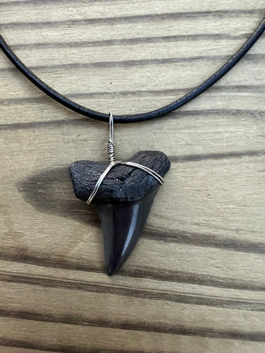 Real Shark Tooth Necklaces