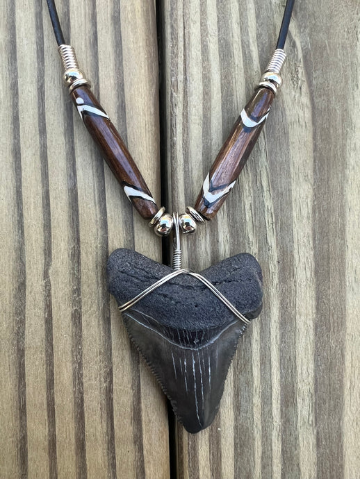 Real Shark Tooth Necklaces