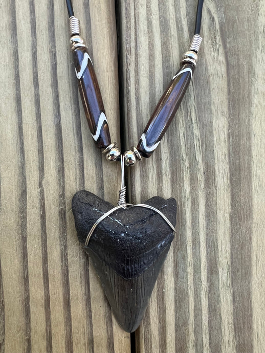 Real Shark Tooth Necklaces