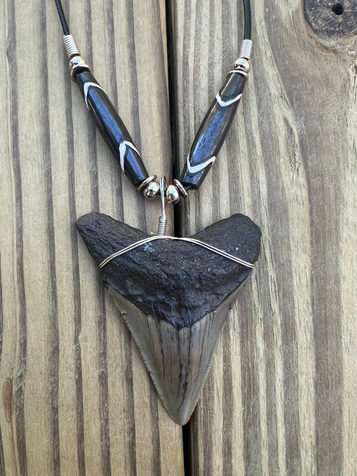 Real Shark Tooth Necklaces