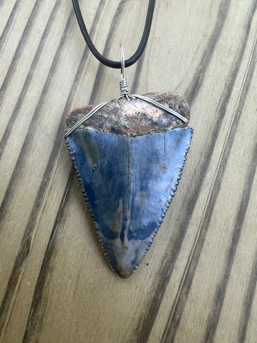 2 3/16 inch Fossilized Real Great White Shark Tooth Plain Necklace ...