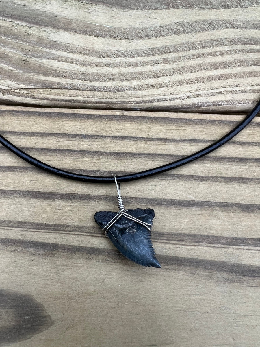 Fossilized Hemipristis Shark Tooth Necklace Left Tip – Real Shark Tooth ...