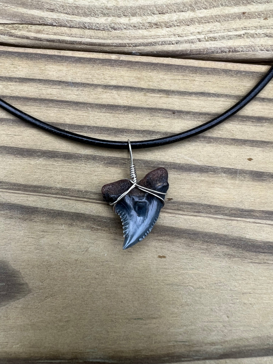 Fossil Hemipristis Shark Necklace Right Tip – Real Shark Tooth Necklaces