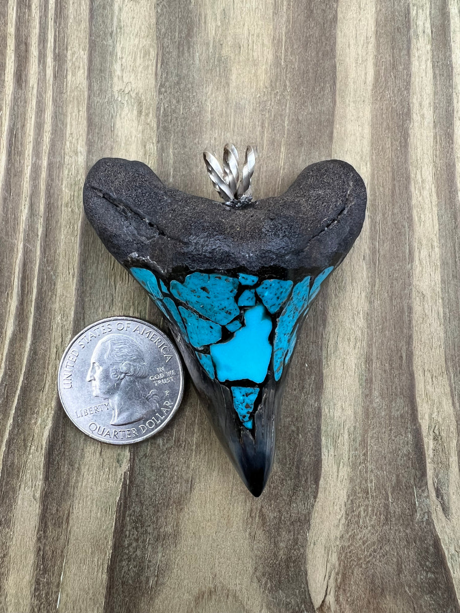 2 5/8 Inch Turquoise Gemstone Inlayed Megalodon Shark Tooth Pendant ...