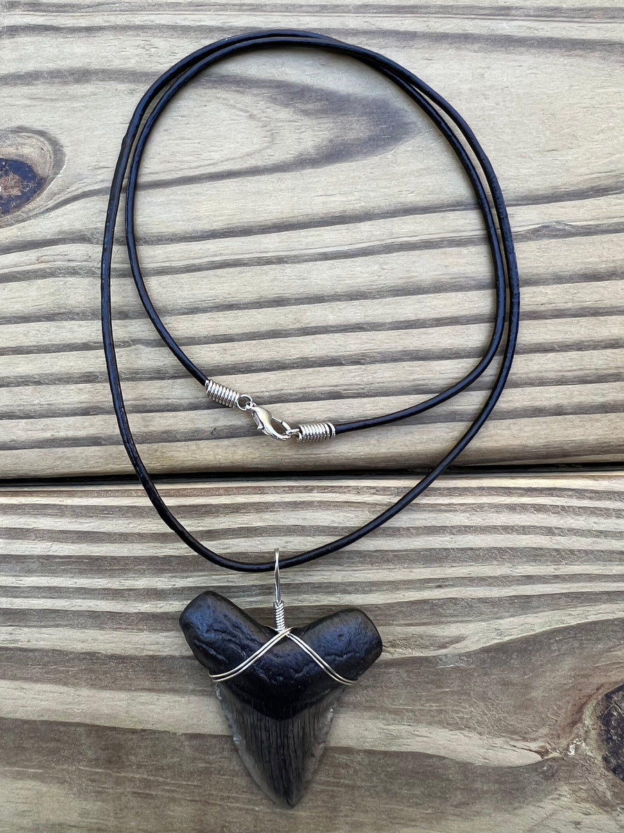 1 15/16 inch Fossil Megalodon Shark Tooth Necklace – Real Shark Tooth ...