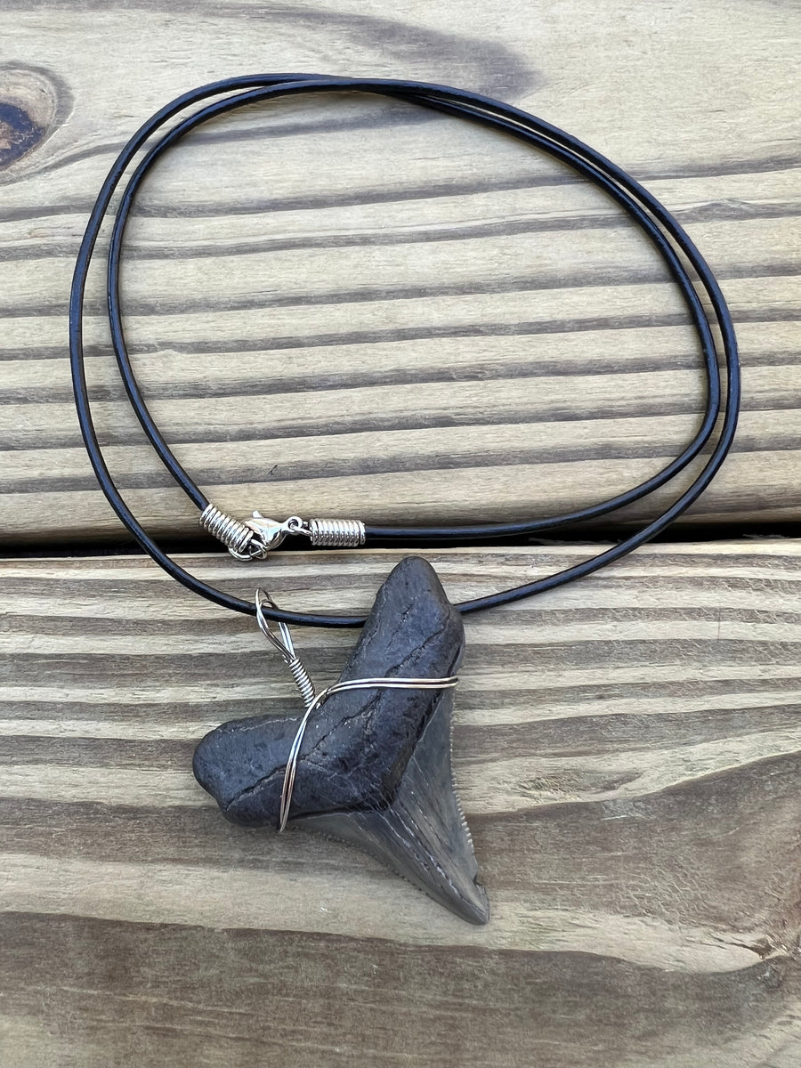 2 inch Fossilized Angustiden Shark Tooth Necklace – Real Shark Tooth ...