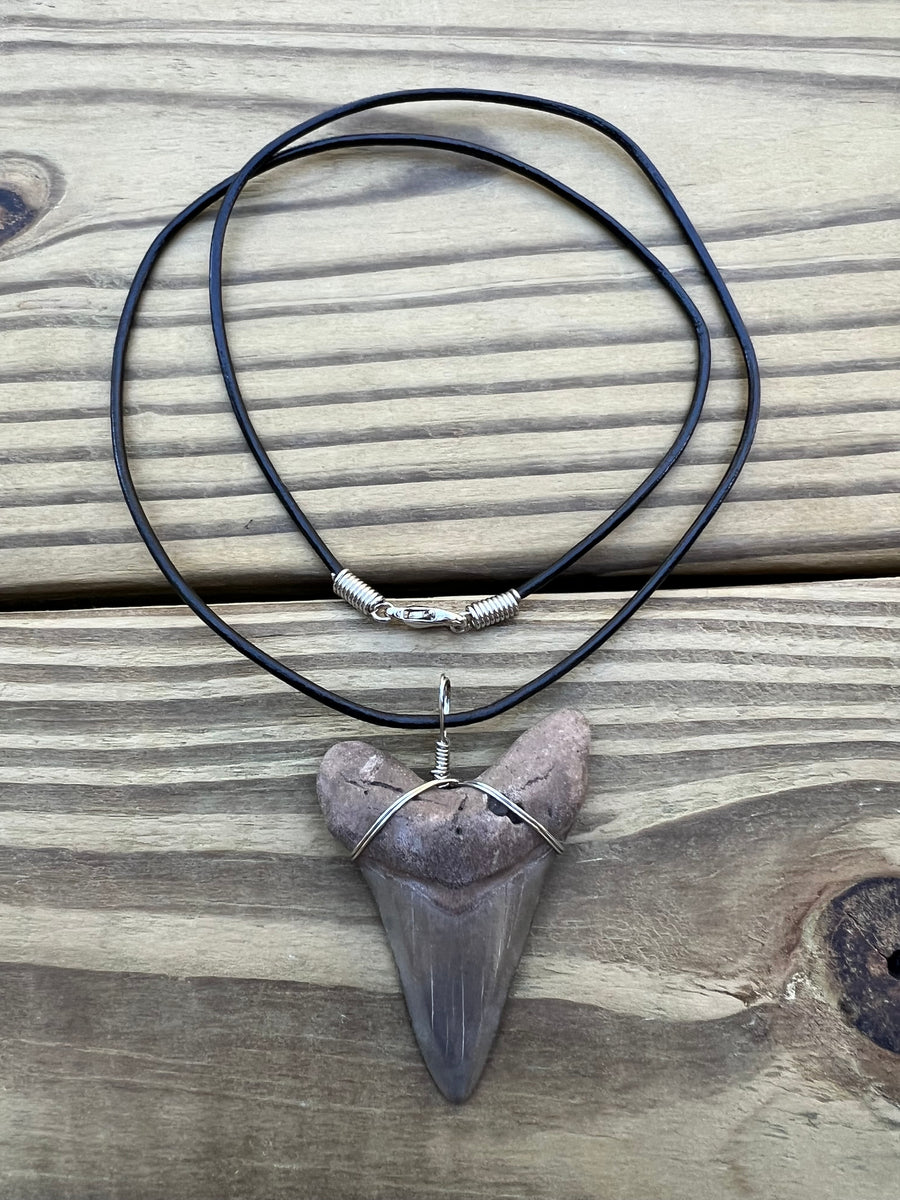 2 1/8 inch Fossil Angustiden Shark Tooth Necklace – Real Shark Tooth ...