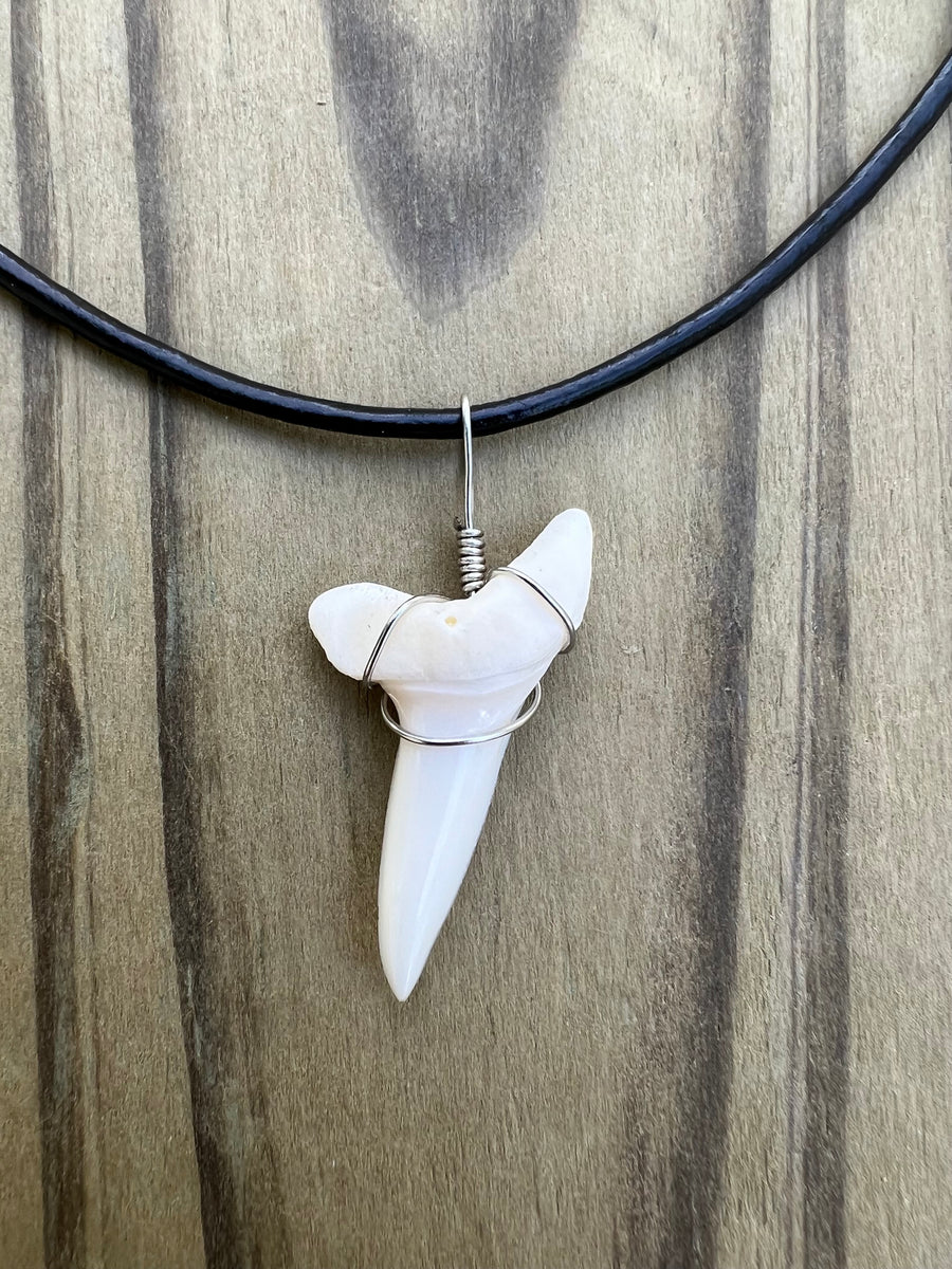 Plain Large White Shark Tooth Necklace – Real Shark Tooth Necklaces