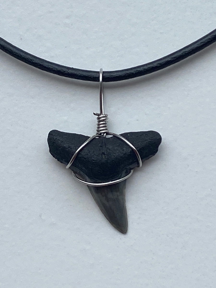 Plain Shark Tooth Necklace – Real Shark Tooth Necklaces