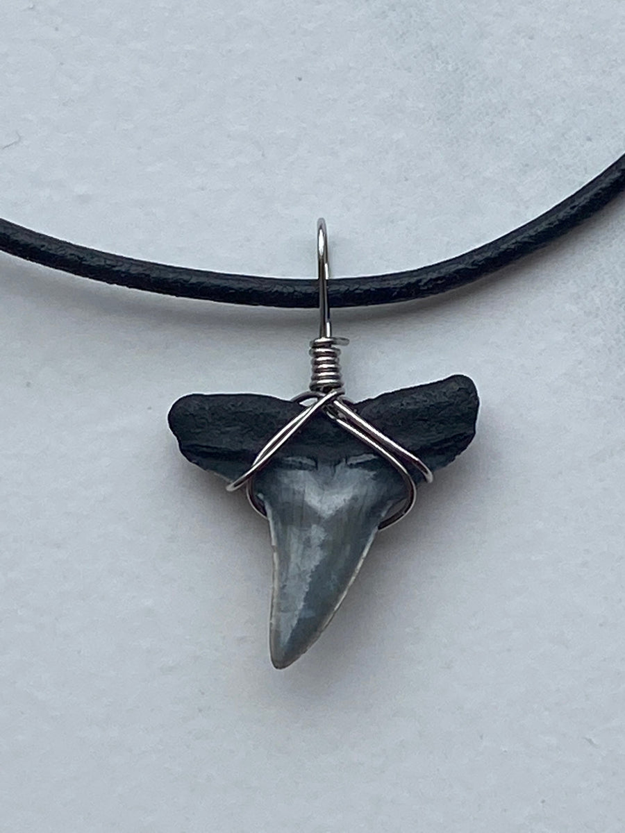 Plain Shark Tooth Necklace – Real Shark Tooth Necklaces