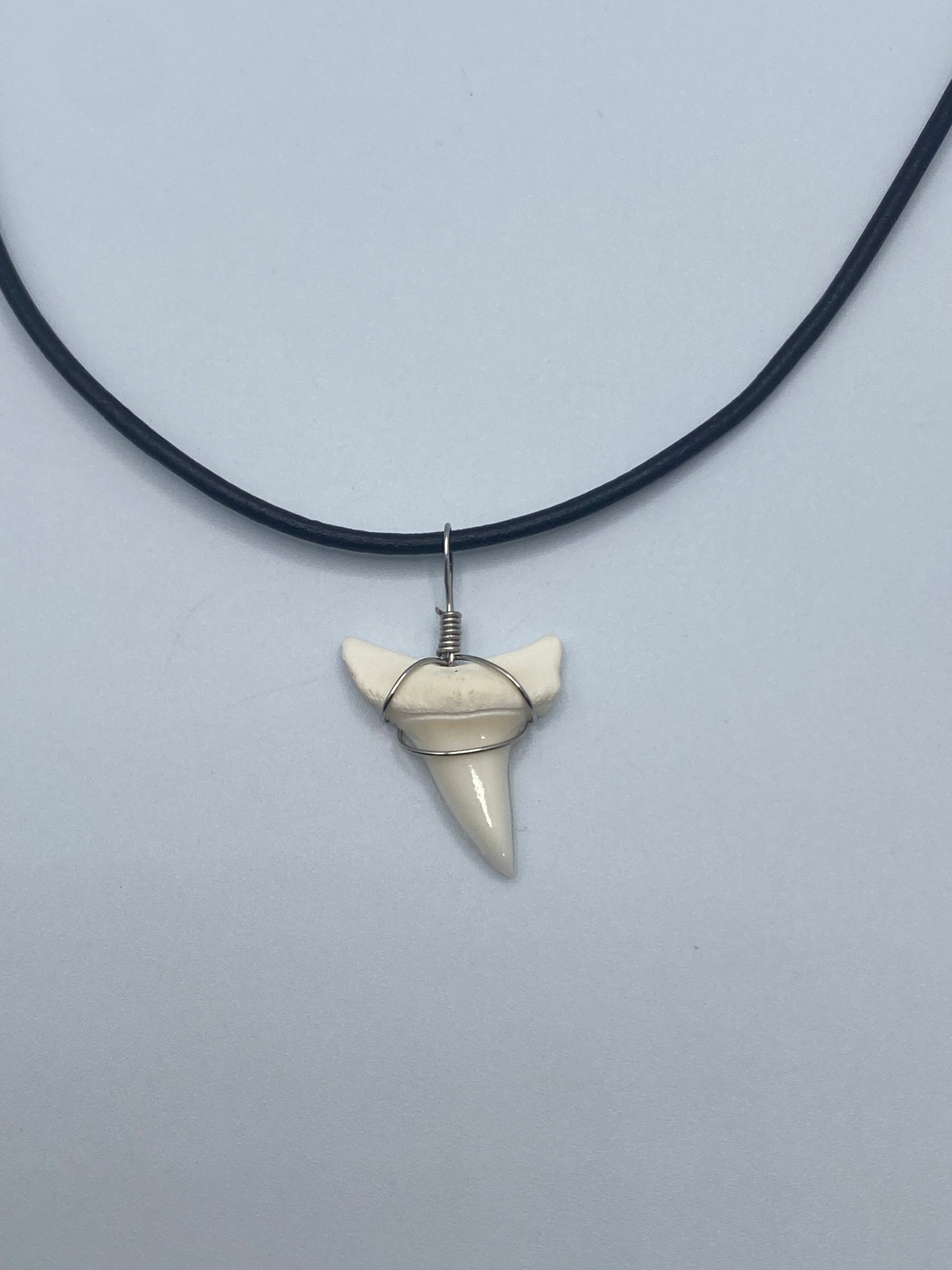 Real Great White Shark Tooth Necklace